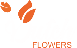 SECURE PAYMENT: We value secure transactions as much as you do ...